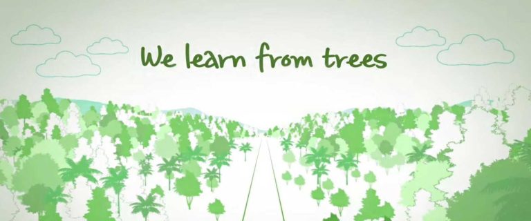 Plywood - Korindo Trading